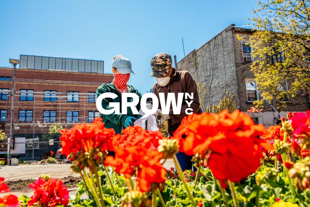 Grow NYC Selection - Alpha Agency
